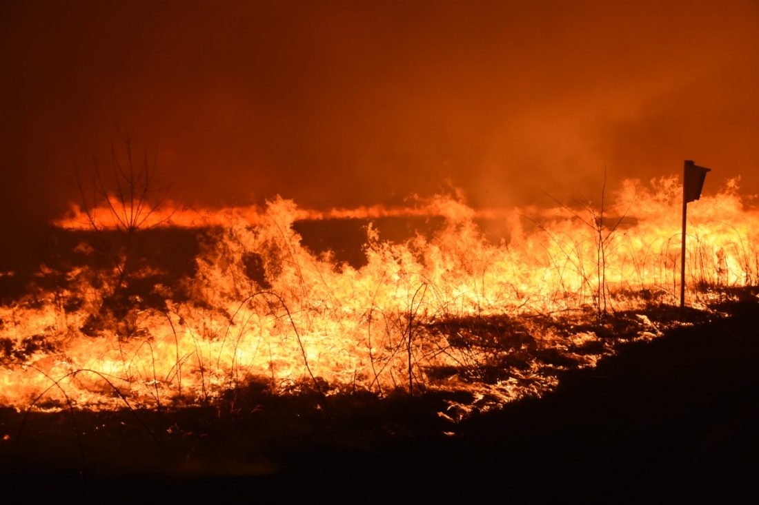 Prairie burn held at Grimes Farm | News, Sports, Jobs - Times Republican